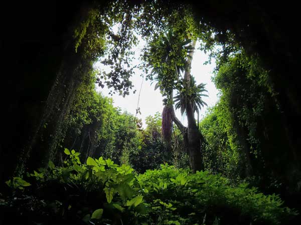 Musanze caves | Rwanda Historical Sites Tours | Rwanda Safaris