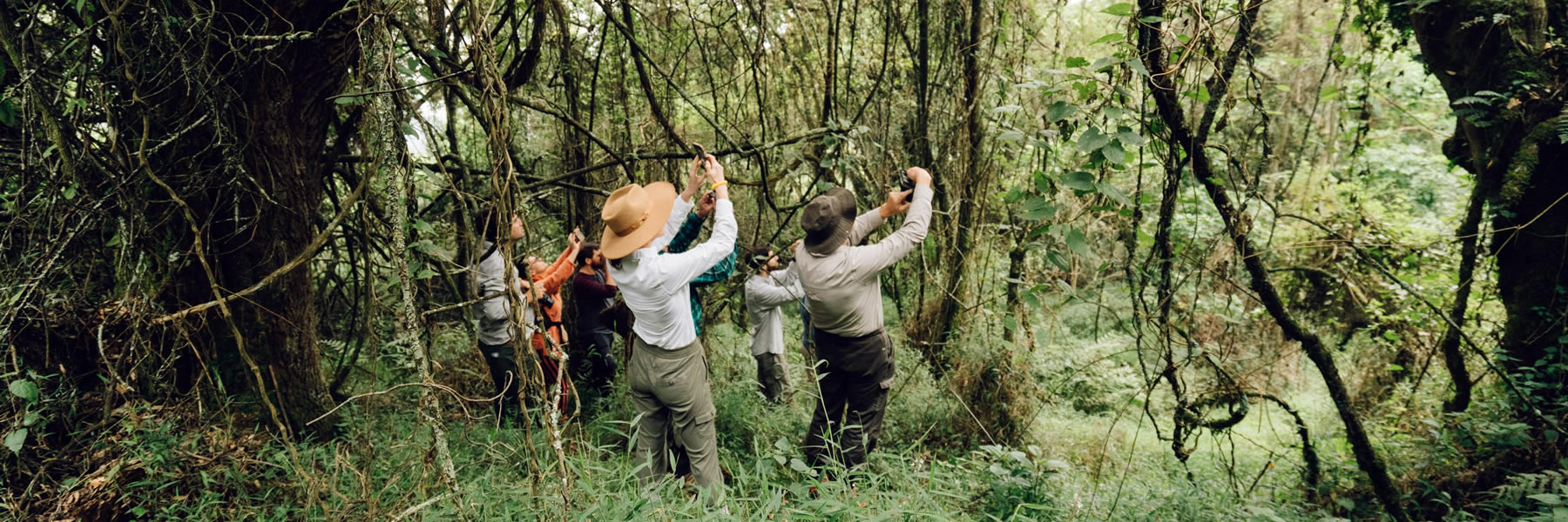 The Best Hiking & Birding Experience In Rwanda | Rwanda Safaris