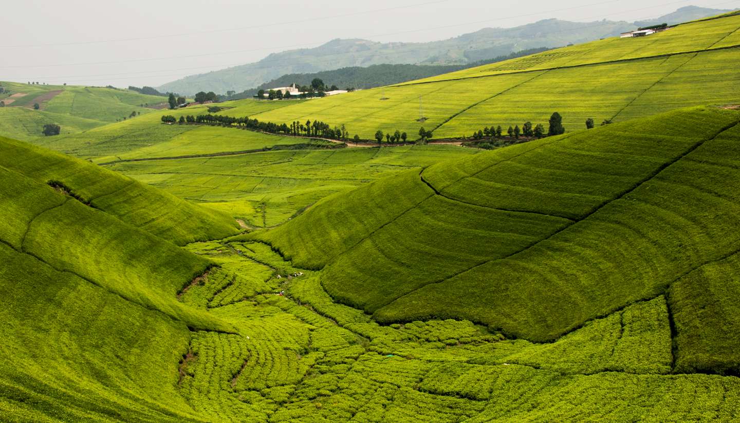 Getting to Rwanda | Land of a Thousand Hills | Rwanda Tours