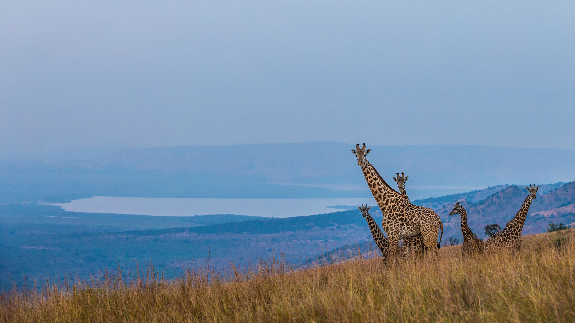 A Week Tour Of Rwanda's National Parks And Wildlife Reserves