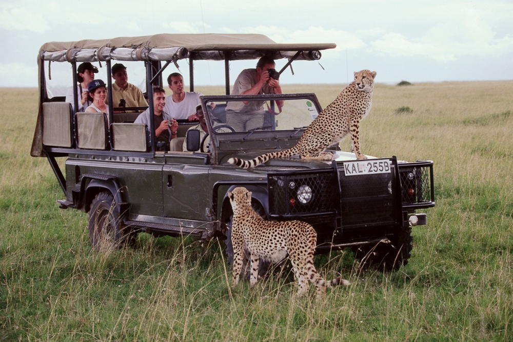 Safari experiences in Kenya | Kenya Safaris Tours | Kenya Tours