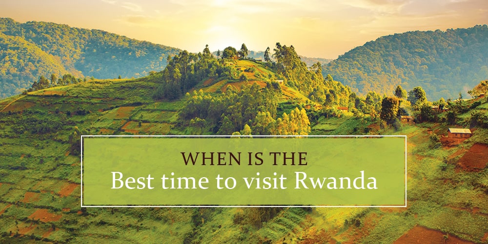 The Best Time To Visit Rwanda In 2024 | Explore Rwanda Tours
