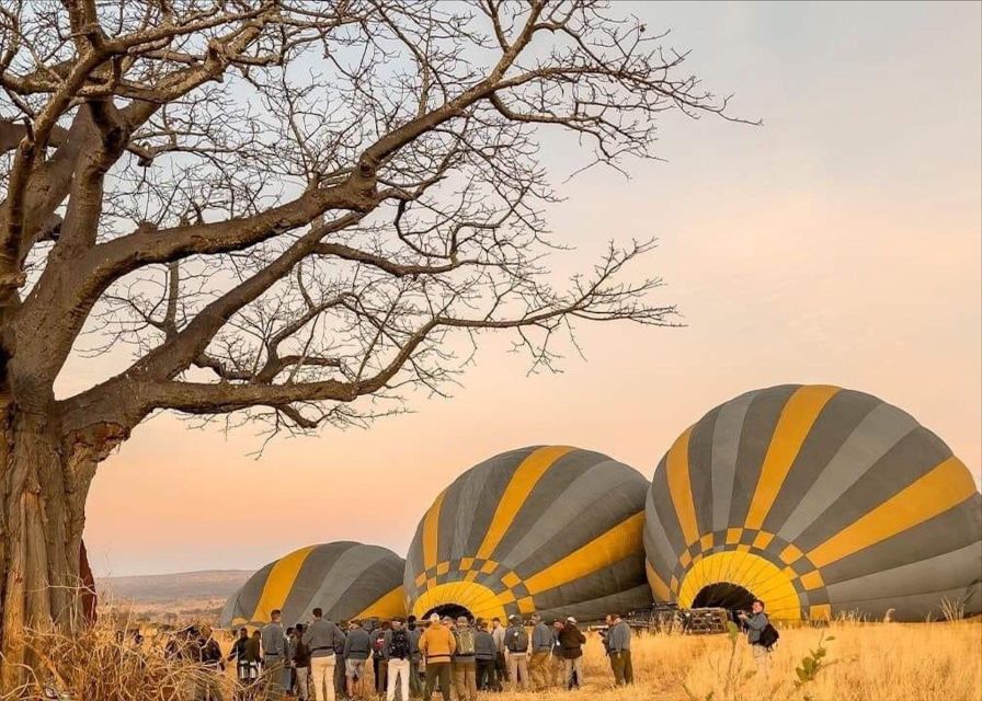 9 Days Kenya and Tanzania Wildlife Safari | Focus East Africa Tours