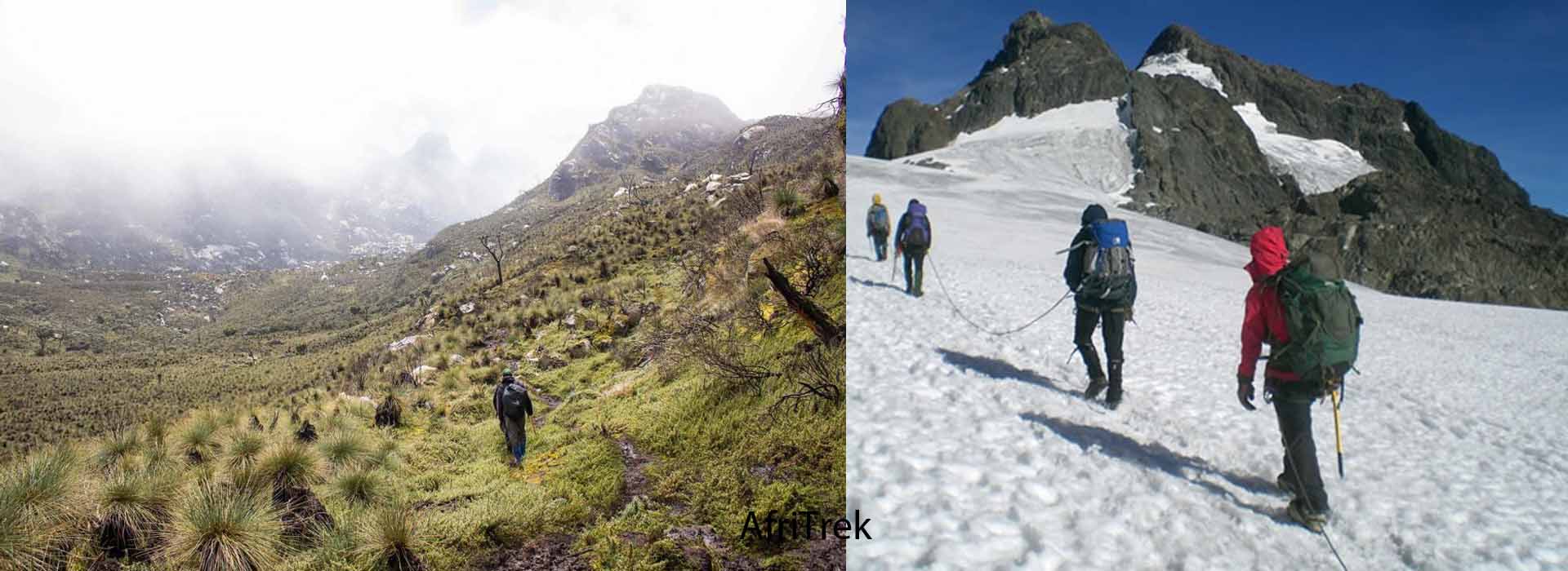What to expect when hiking the Rwenzori Mountains in Uganda | Uganda